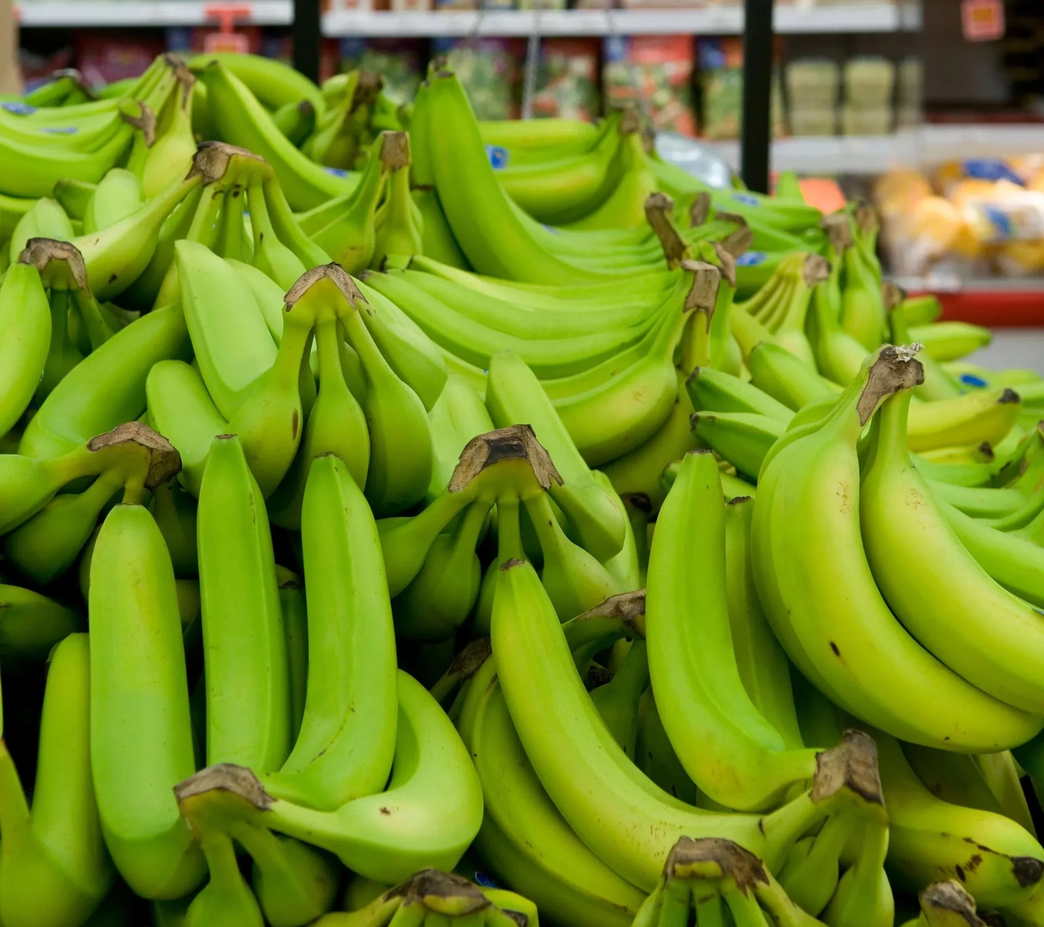 Top Selling - Customized Green Fresh Banana Good Price - 100% Natural ...