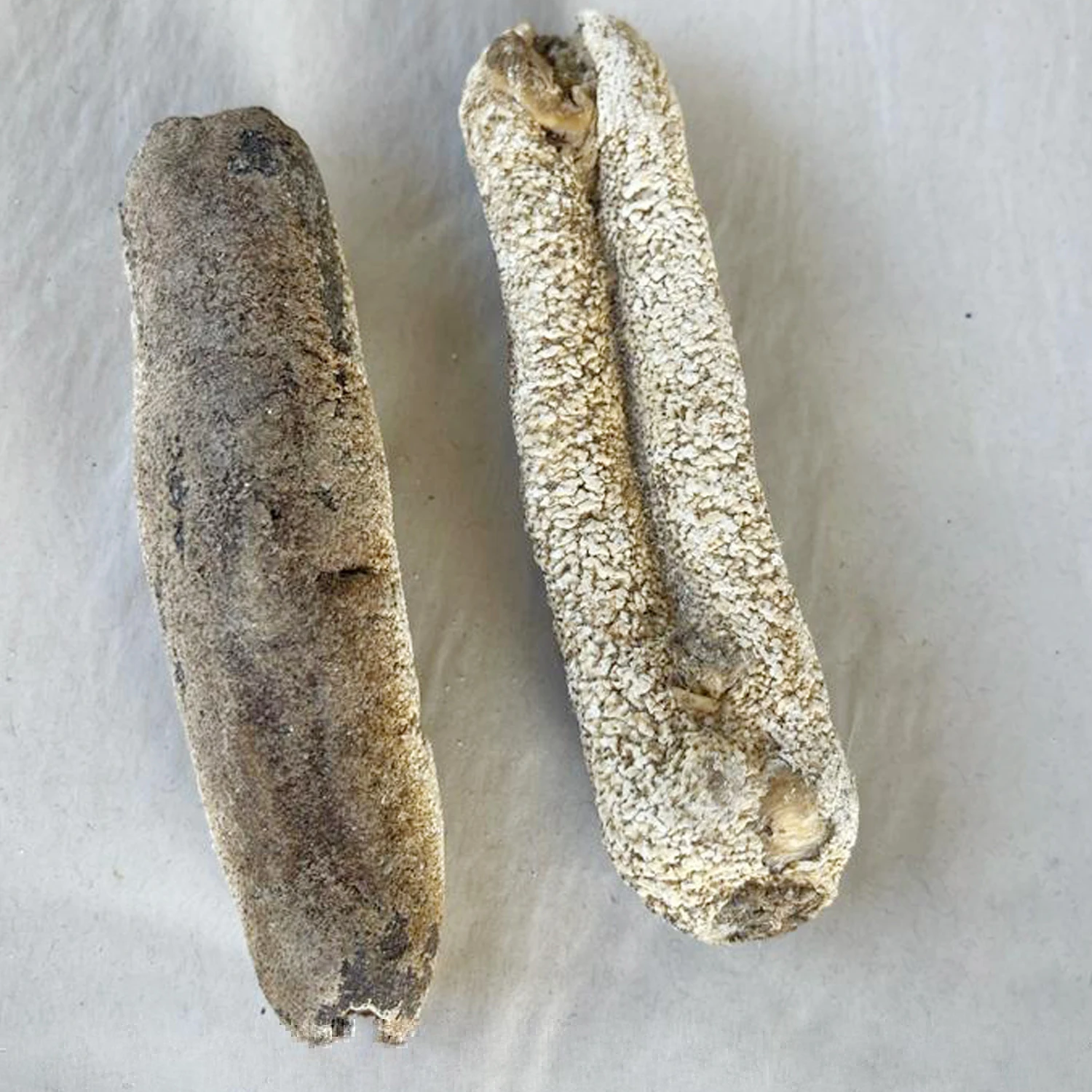 Sri Lankan Sea Cucumber - Natural Sun Dried Sand Fish