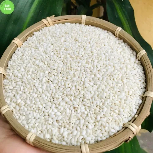 Well Price Soft Long Grain Glutinous Rice - White Glutinous Rice ...