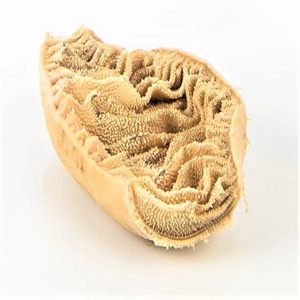 Beef Frozen Omasum / Dry Salted Omasum Frozen Beef - Buy Beef Tripe Beef Omasum Beef Salted Beef ...