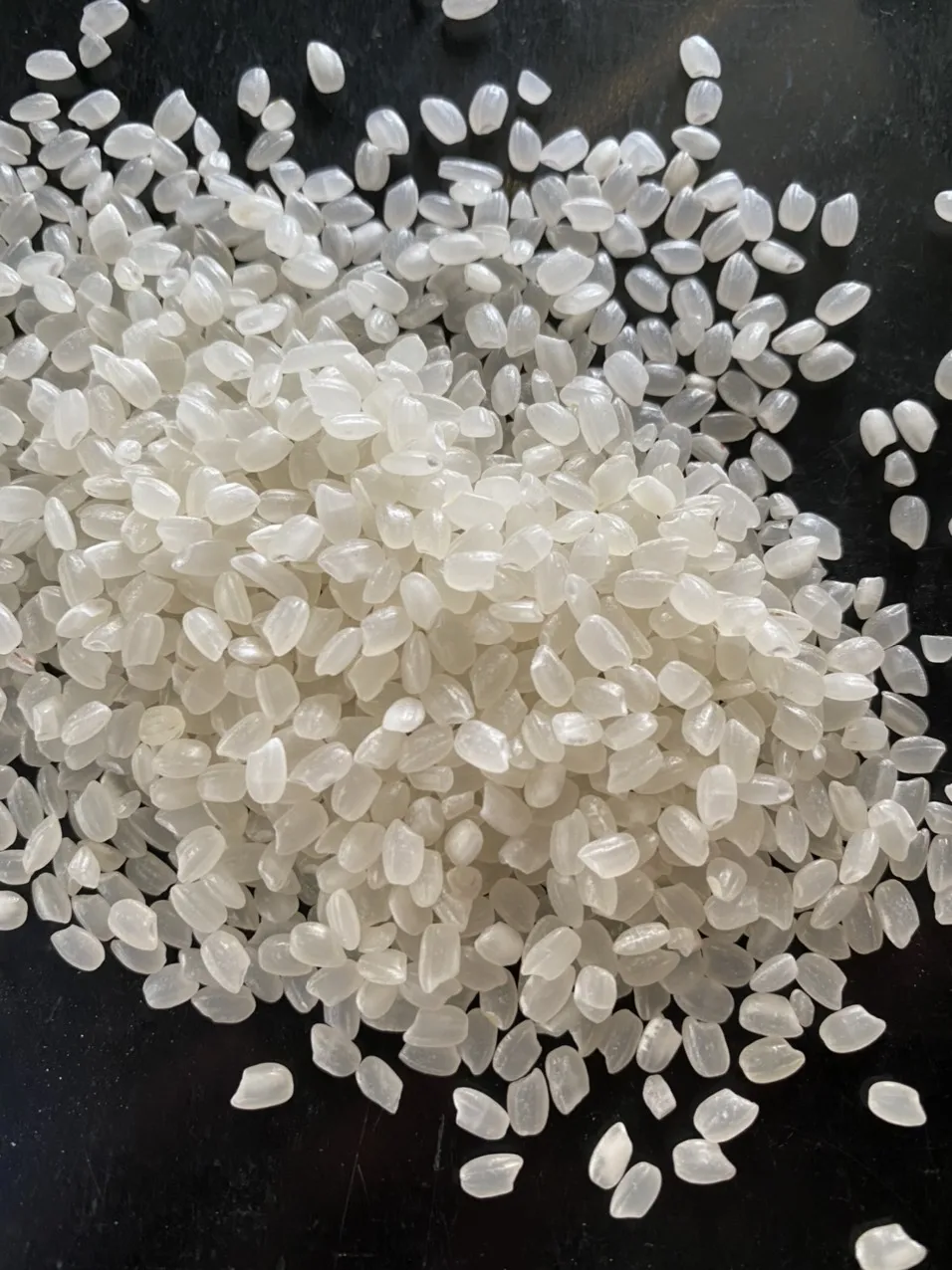 Koala Super Premium Japonica Rice 3% Broken-Pearl/Calrose Medium Sushi Rice Similar to Basmati ...