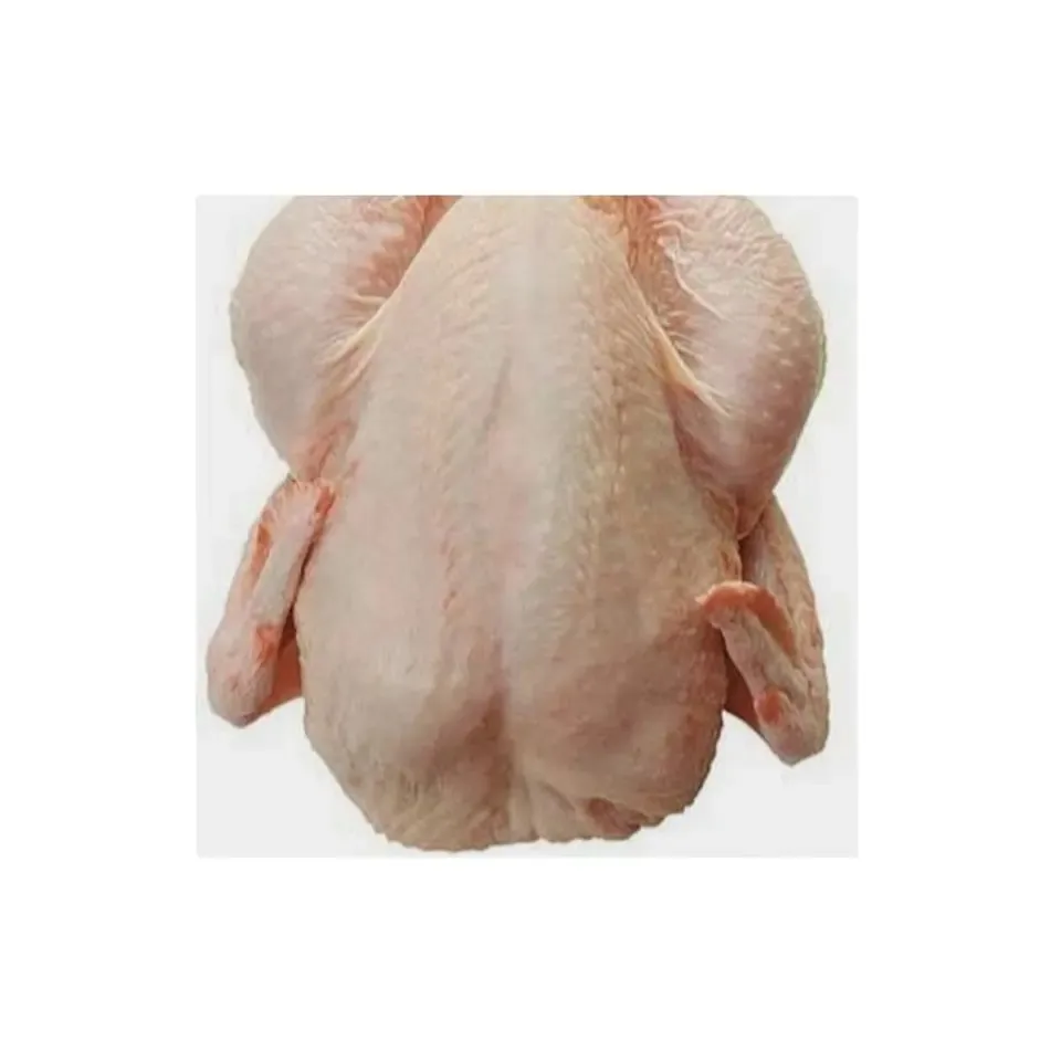 Frozen Whole Chicken,Frozen Chicken Breast,Frozen Chicken Thighs,Frozen ...