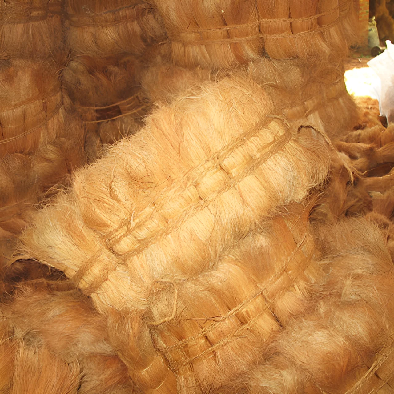 Premium Quality Fine Coconut Fiber Bristle Multipurpose Coco Husk ...