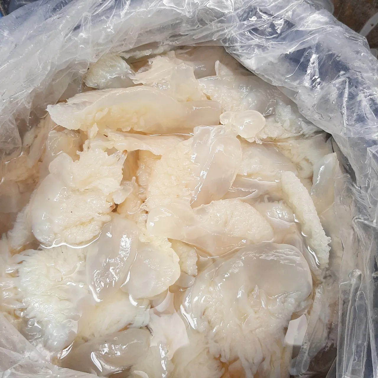 Salted Jellyfish Delicious Seafood Agriculture Product Salted Jellyfish ...