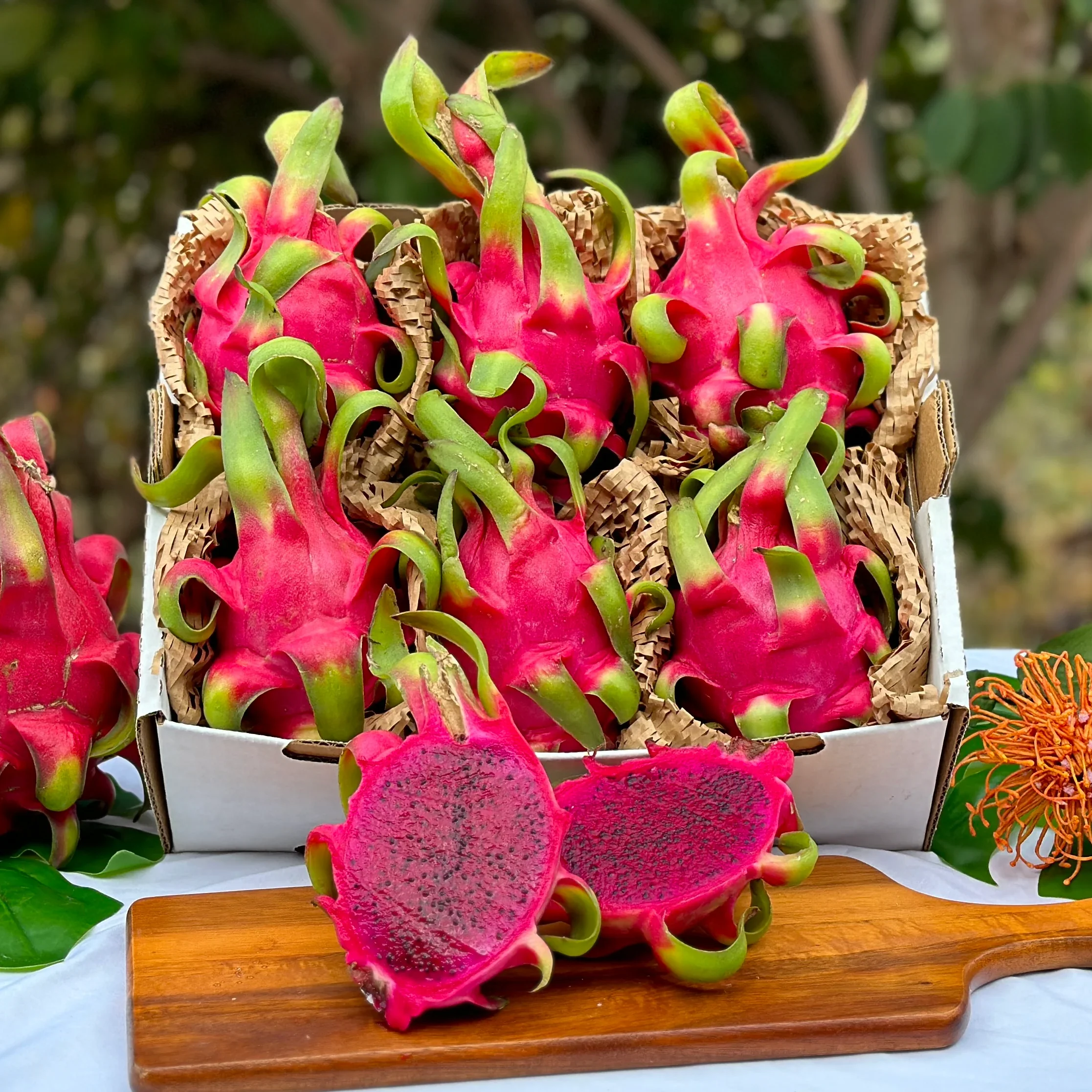 Fresh Dragon Fruit Red Flesh Vietnam Goodprice - Red-dragon