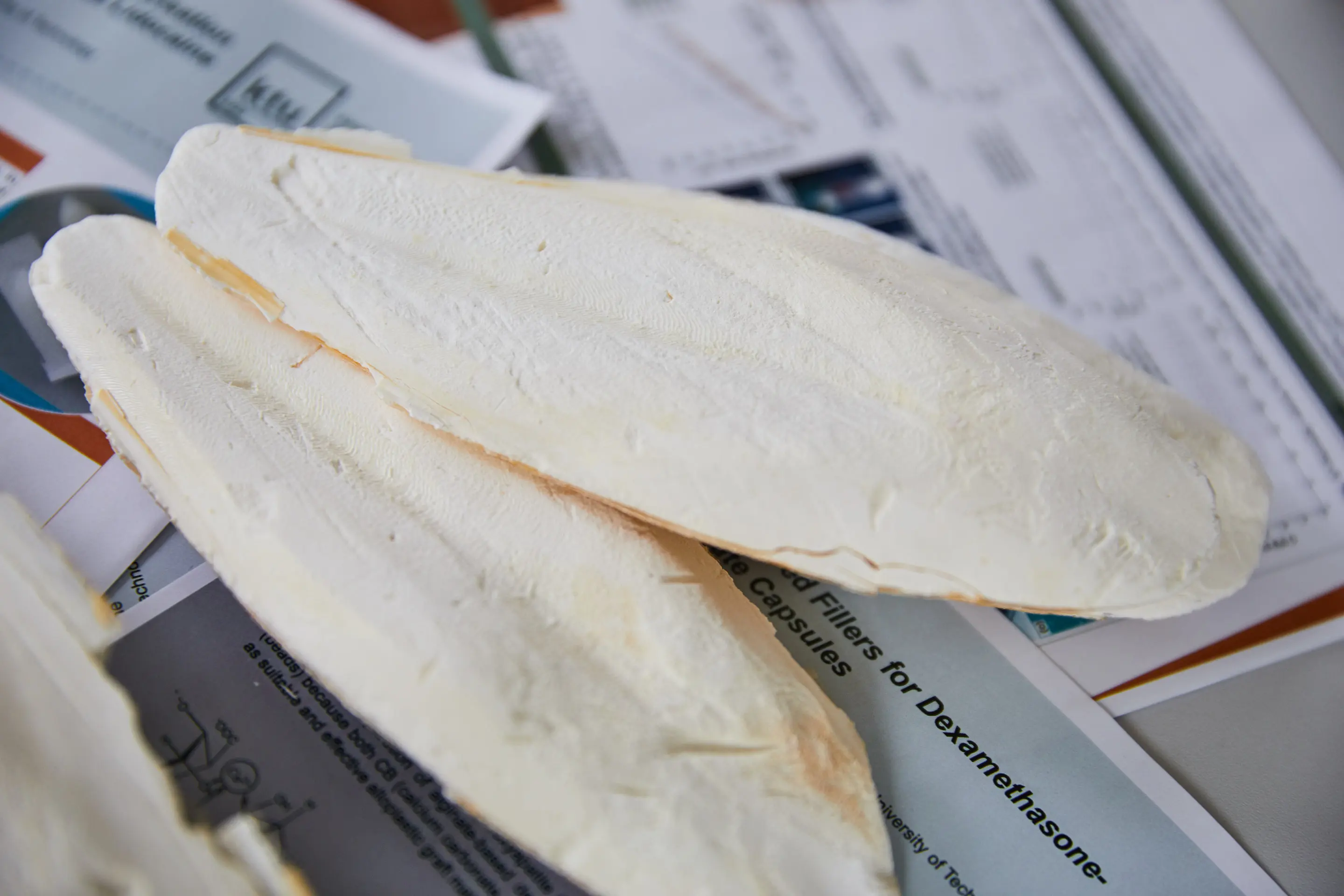 Wholesale Cuttlefish Bone Viet Nam Original Bulk Quantity In Stock ...