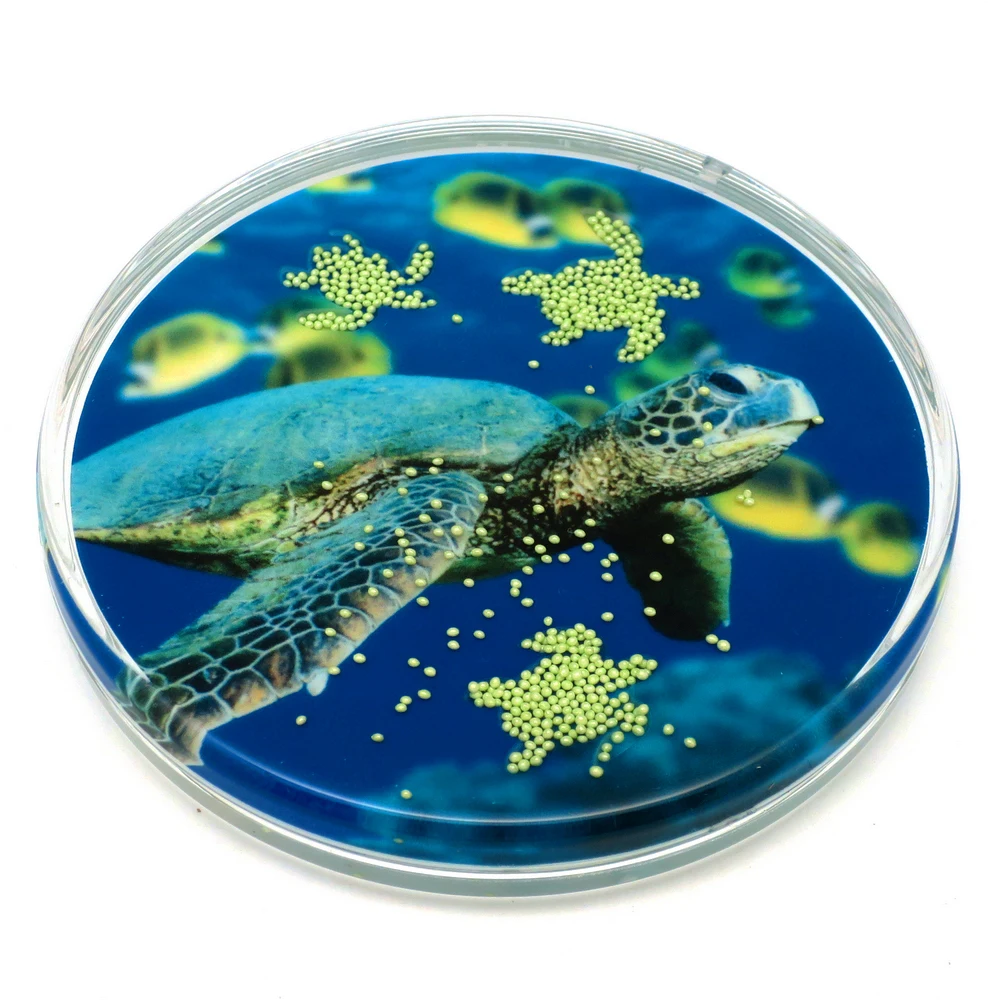 Sea Life Liquid Filled Acrylic Paperweight, Starfish with Floating ...