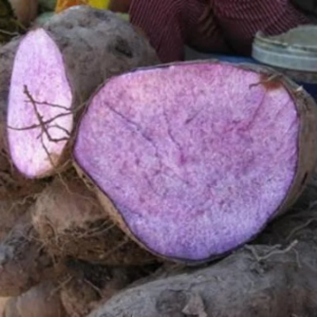 Various Size Frozen Grated Yam In Bulk - Buy Frozen Grated Yam/various ...