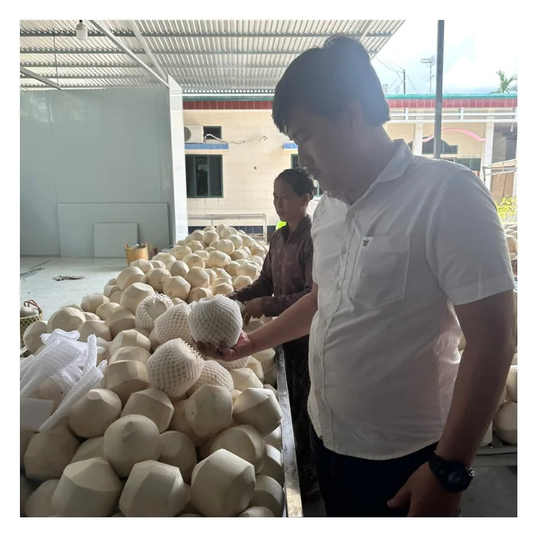 Green Coconut Fresh Fruit Coconut 100% Good For Healthy Export Organic ...