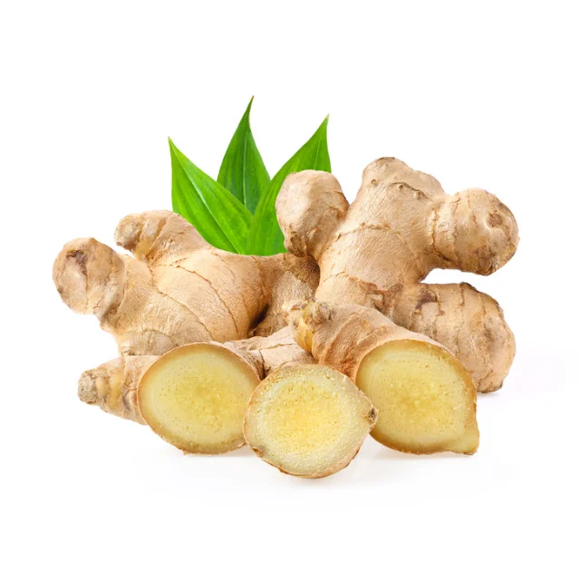Fresh Ginger 100% Natural Ginger Yellow Young Ginger From Vietnam ...