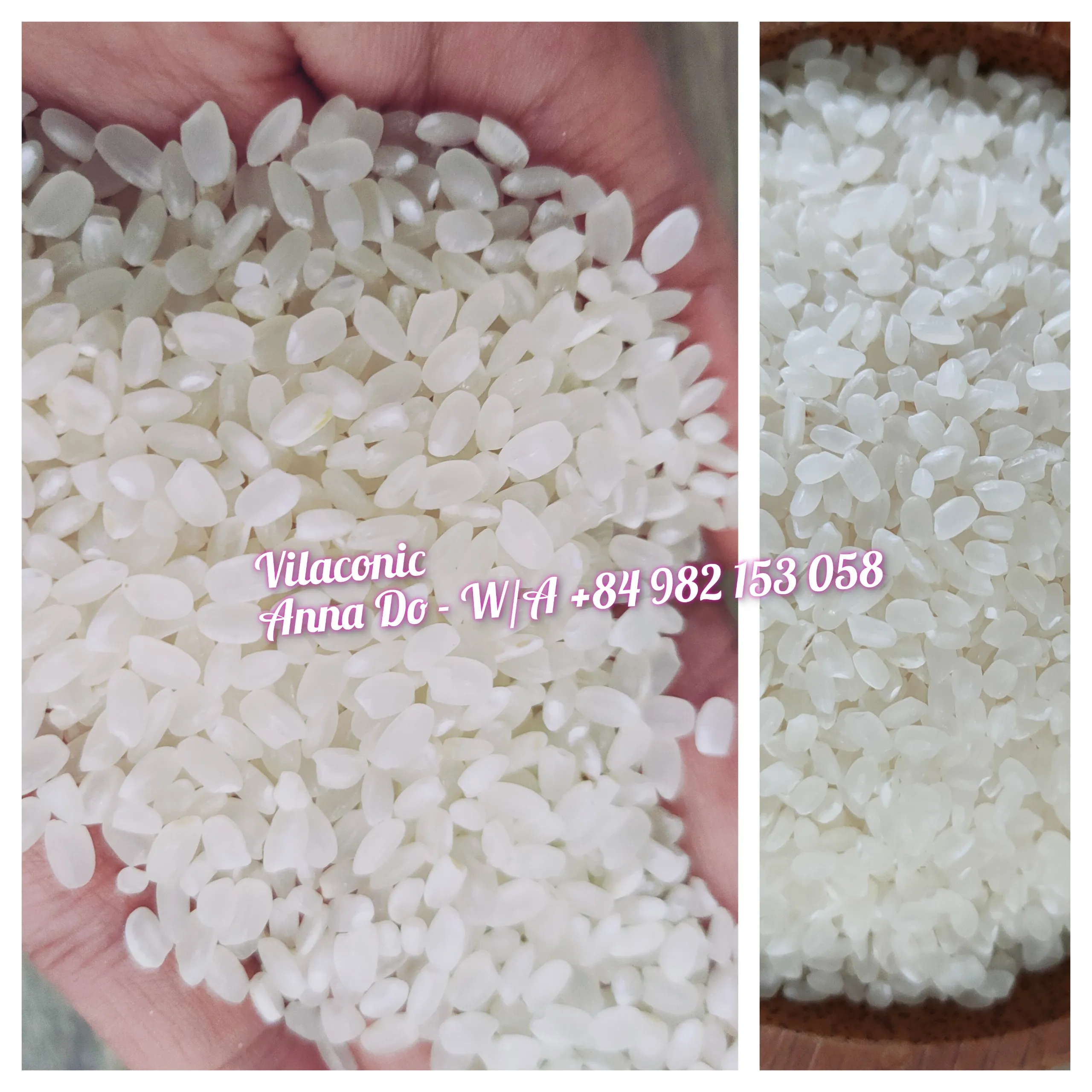 White Rice Calrose Medium Grain - Egyptian Camolino Rice / Medium Grain ...