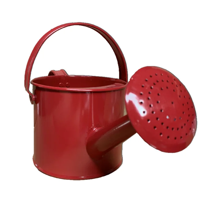 Galvanized Watering Water Can With Customized Color For Dark Green ...