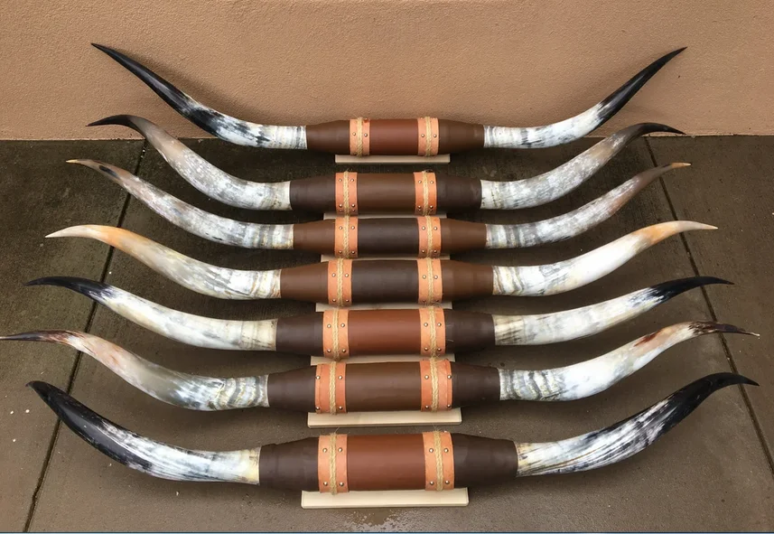 Mounted Natural Buffalo Horns for Wall Decoration - Black & White Folk ...