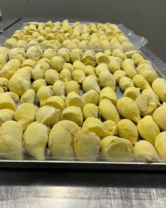 Whole Durian Frozen Durian Ri6 Vietnamese Fruit High Quality 100% Fresh ...
