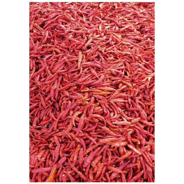 Whole Red Spicy Chili Dried Fruit Long Shape And Packaged According To ...
