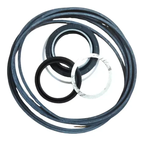 Hydraulic Motor Repair Seal Kit JBT 620-1428-090 / SK000090 Hydraulic ...