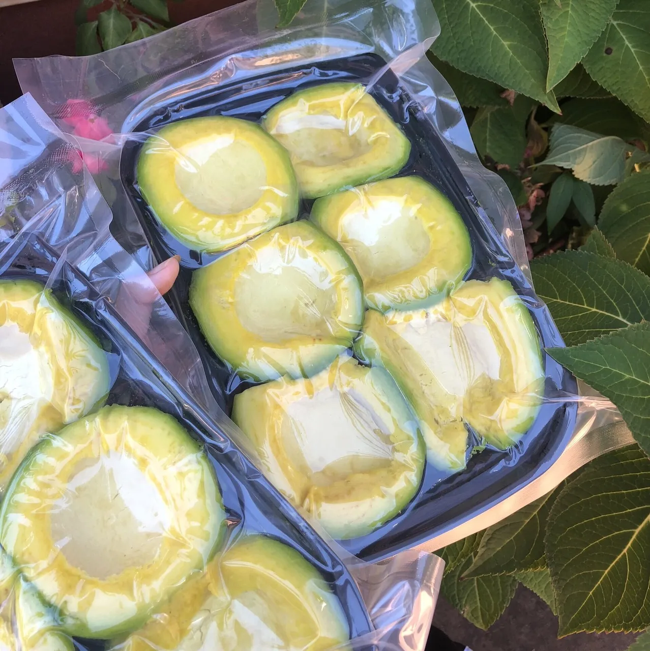 Wholesale High Quality Frozen Fruit ~ Frozen Avocado Vacuum Pack 2 ...