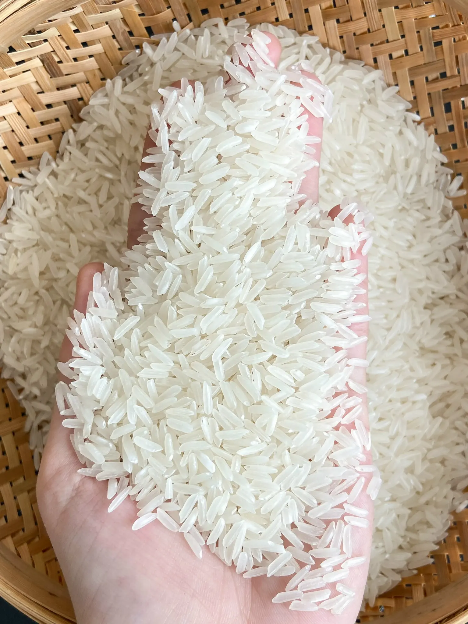 THAILAND HOM MALI RICE JASMINE RICE FROM VILACONIC'S FACTORY - ( WS ...