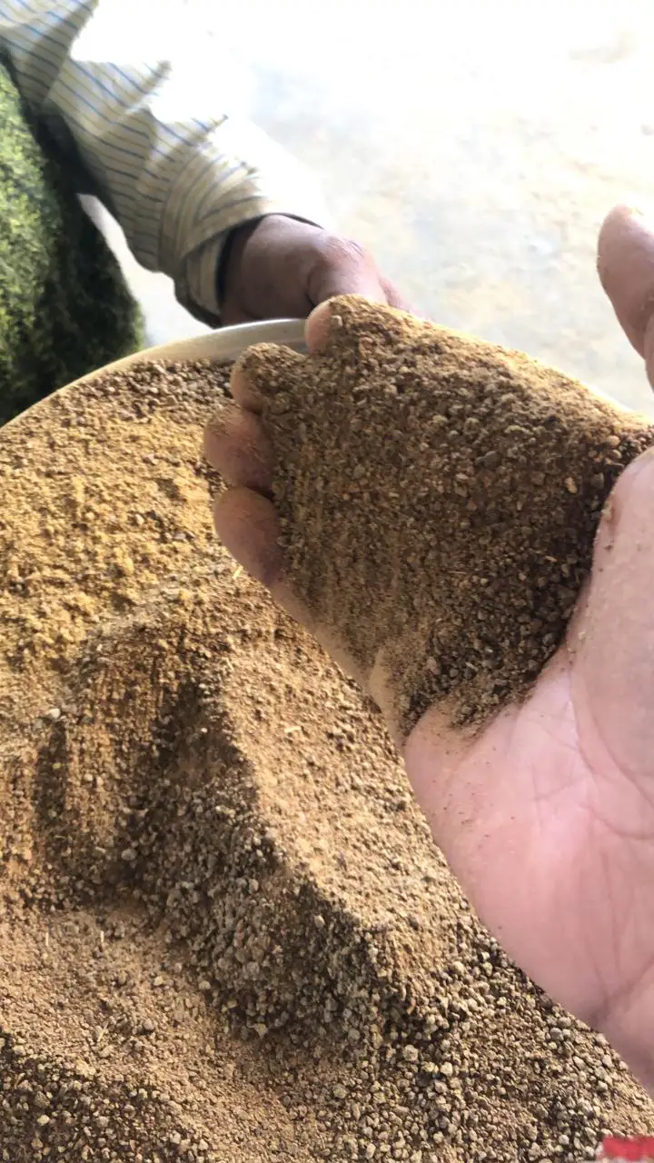 Rapeseed Meal Powder Pure Organic Fertilizer for Agricultural Purpose ...