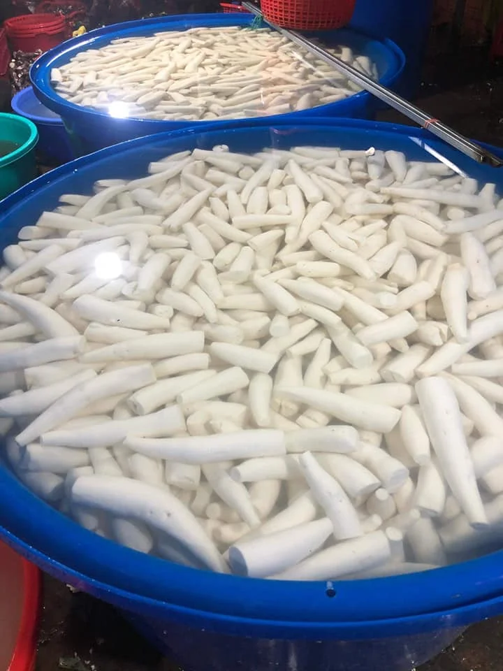 Manioc Africain - Fresh Frozen Cassava from Vietnam