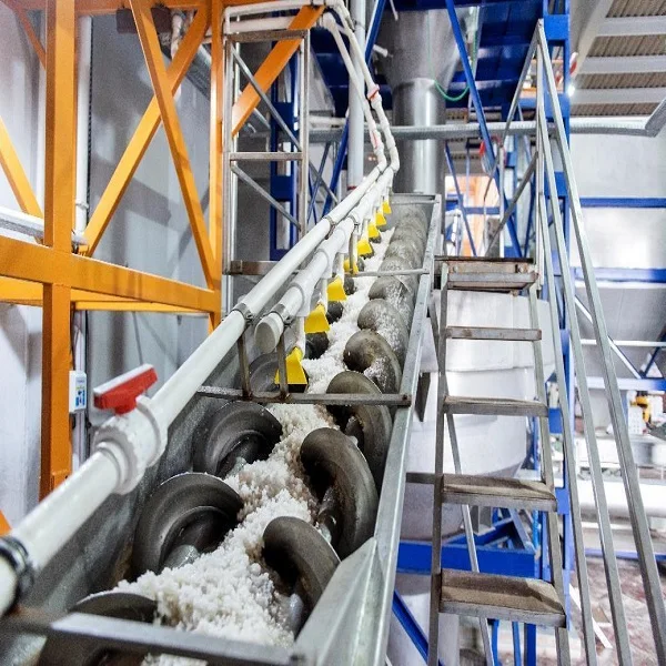 SALT WASHING SCREW CONVEYOR 10 TPH - UNIKEY AUTOMATIC