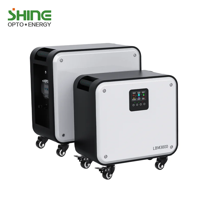 Hot Selling Wholesale Lbm3000 51.2v 60ah 3072wh Movable Battery Home ...