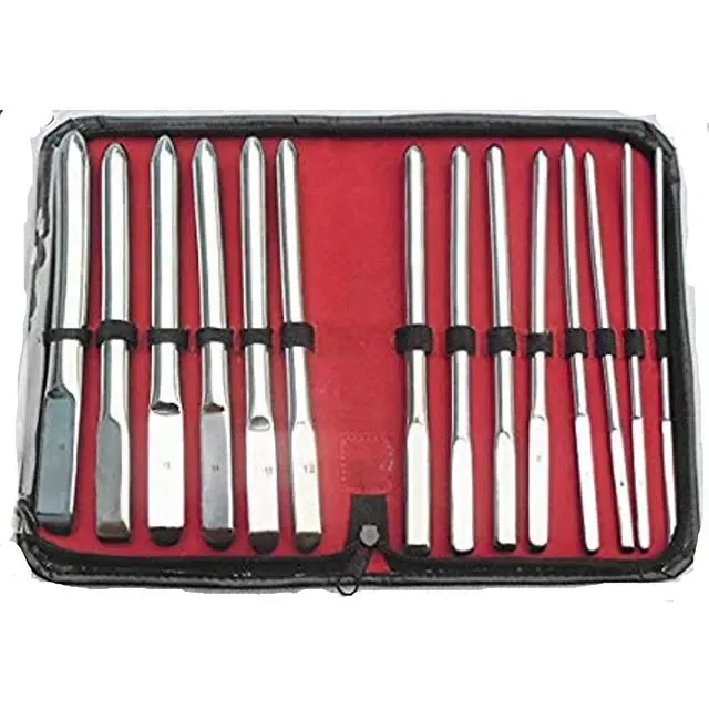 Hegar Dilator Set Cervical Dilator Surgical Instruments Gynecology ...