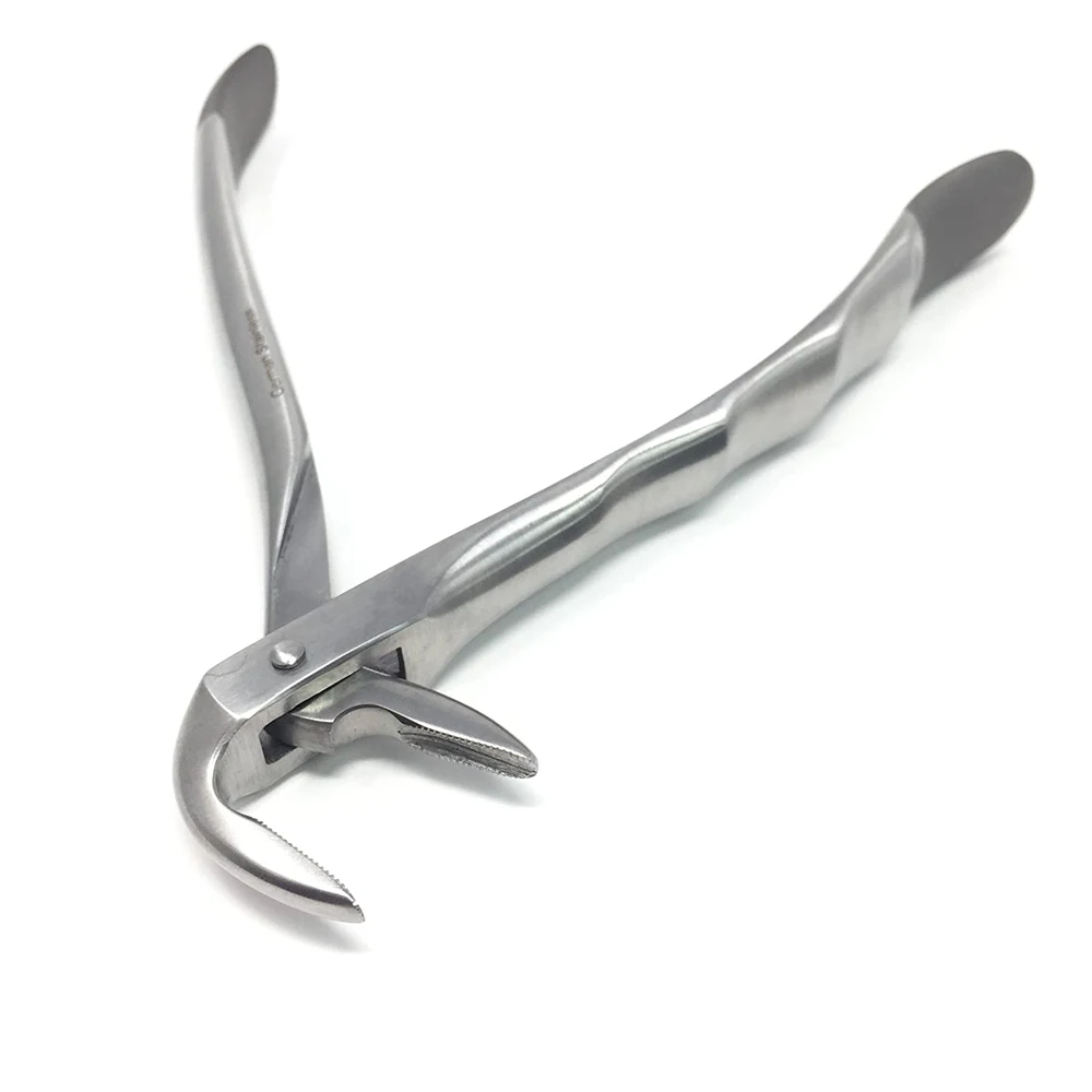 Dental Extraction Forceps Set Stainless Steel Tooth Extracting Forceps ...