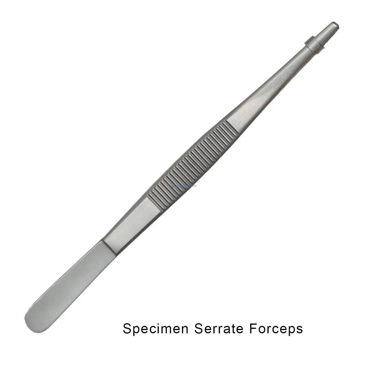 ANATOMY MEDICAL STUDENT DISSECTING DISSECTION KIT SET WITH SCALPEL ...