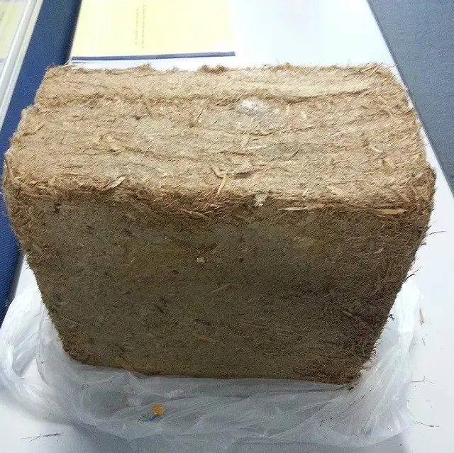 SUGARCANE BAGASSE PELLETS - Sustainable Animal Feed