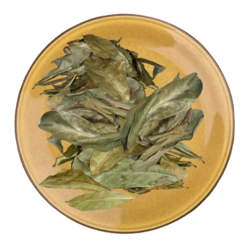 Healthy Pure Soursop Leaf Dried Soursop/graviola Leaves Good For Health ...