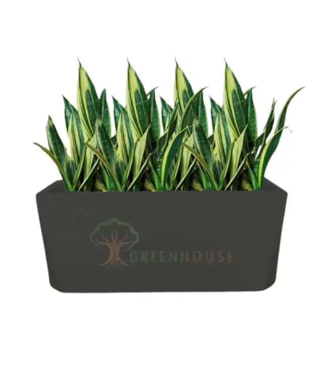 Indoor & Outdoor Modern Design Big Fiberglass Planter With Frp Material ...