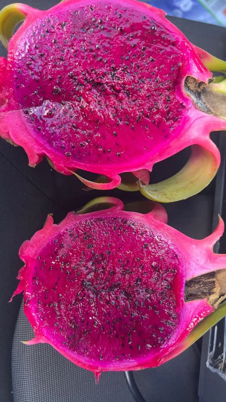 Fresh Dragon Fruit Red Flesh Vietnam Goodprice Red-dragon - Vietnam ...