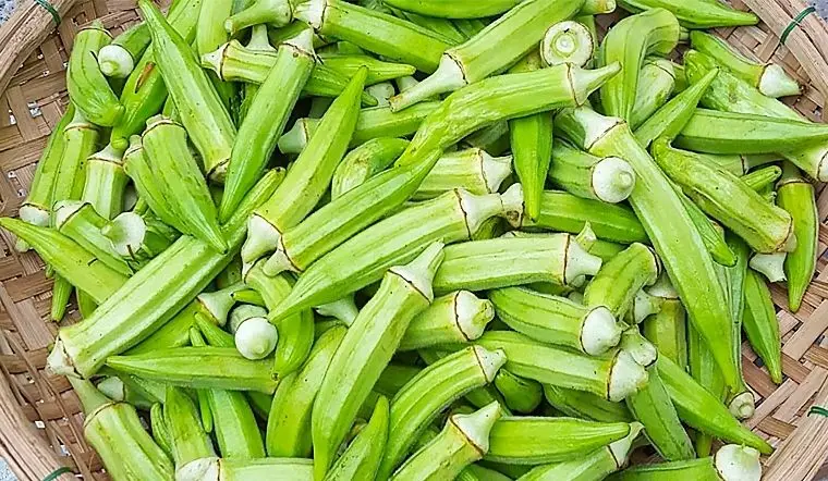 Fresh Okra Is Delicious And Good For Your Health,Especially Rich In ...