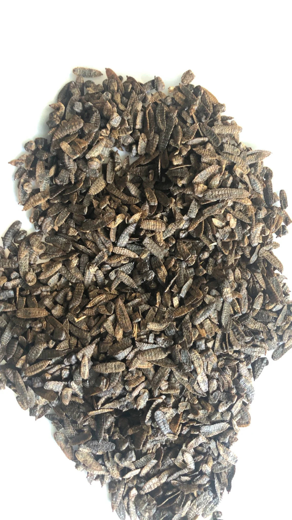 Bulk Quantity Dried Black Soldier Fly Larvae Bsfl Good Price Black ...