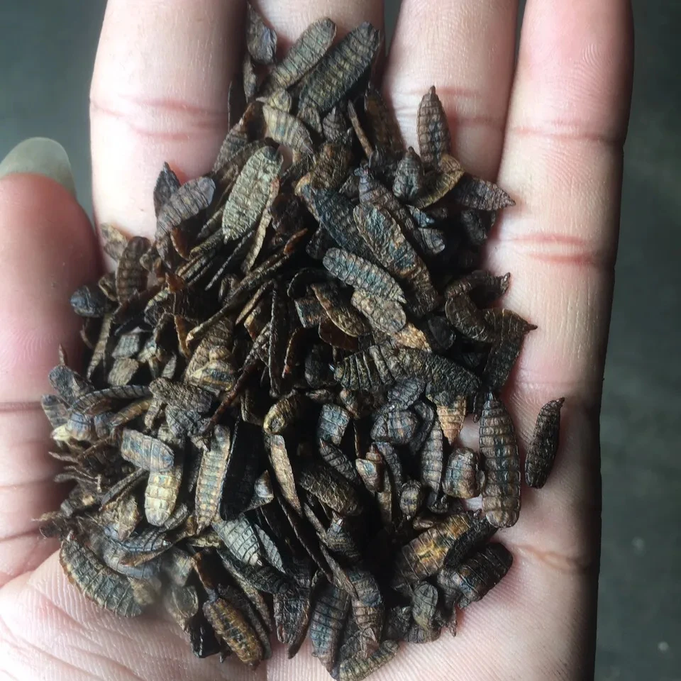 Bulk Quantity Dried Black Soldier Fly Larvae Bsfl Good Price Black ...