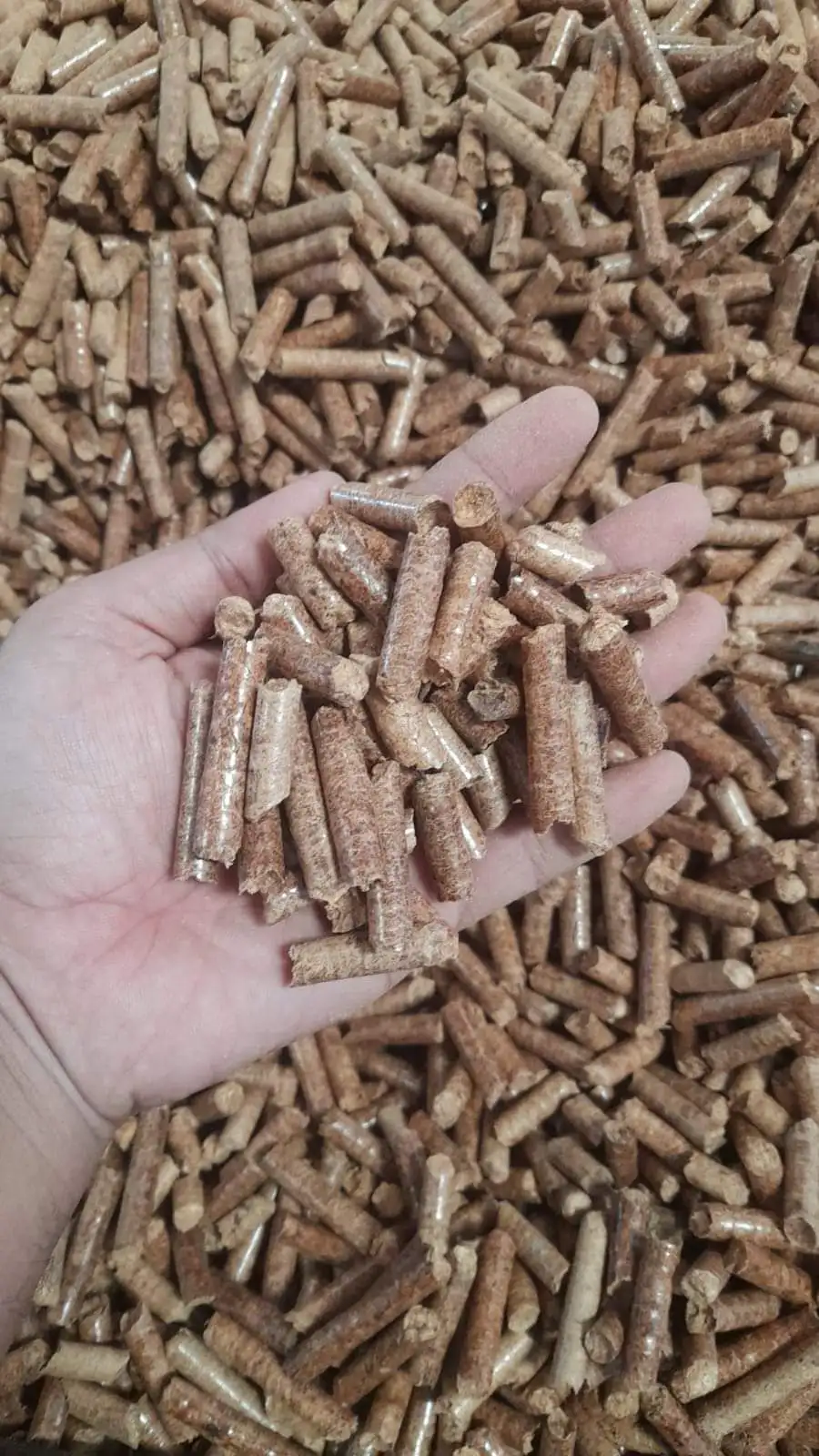 Indonesia-Sourced Industrial Grade Wood Particle Pellets Made From Raw ...