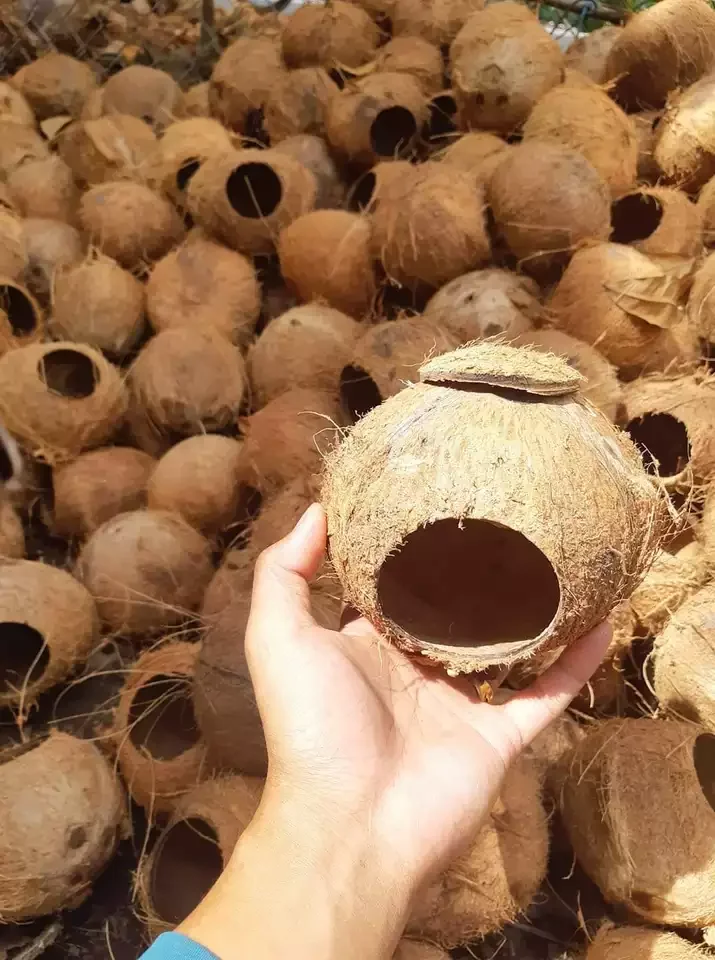 Hamster & Parrot Coconut Shell Pet House Natural Handmade Eco Shelter ...
