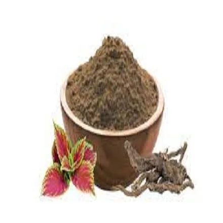 Himalayan Coleus Forskohlii Herb Extract Powder 20% Forskolin Liquid ...