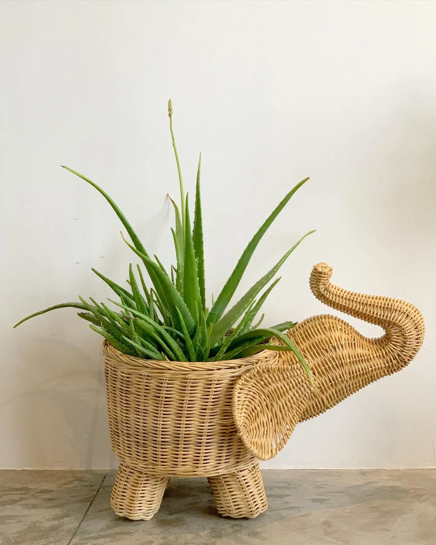 Wicker Rattan Planters In Charming Animal Shapes Elevate Your Garden ...