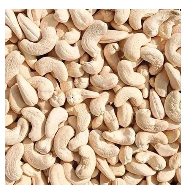 Vietnam Trusted Supplier Cashew Nuts Cashew Noix De Cajoux Exported To ...