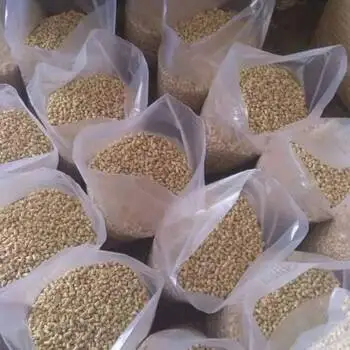 Pine Wood Particles Winter Heating Energy Saving Fuel Bio Combustion ...