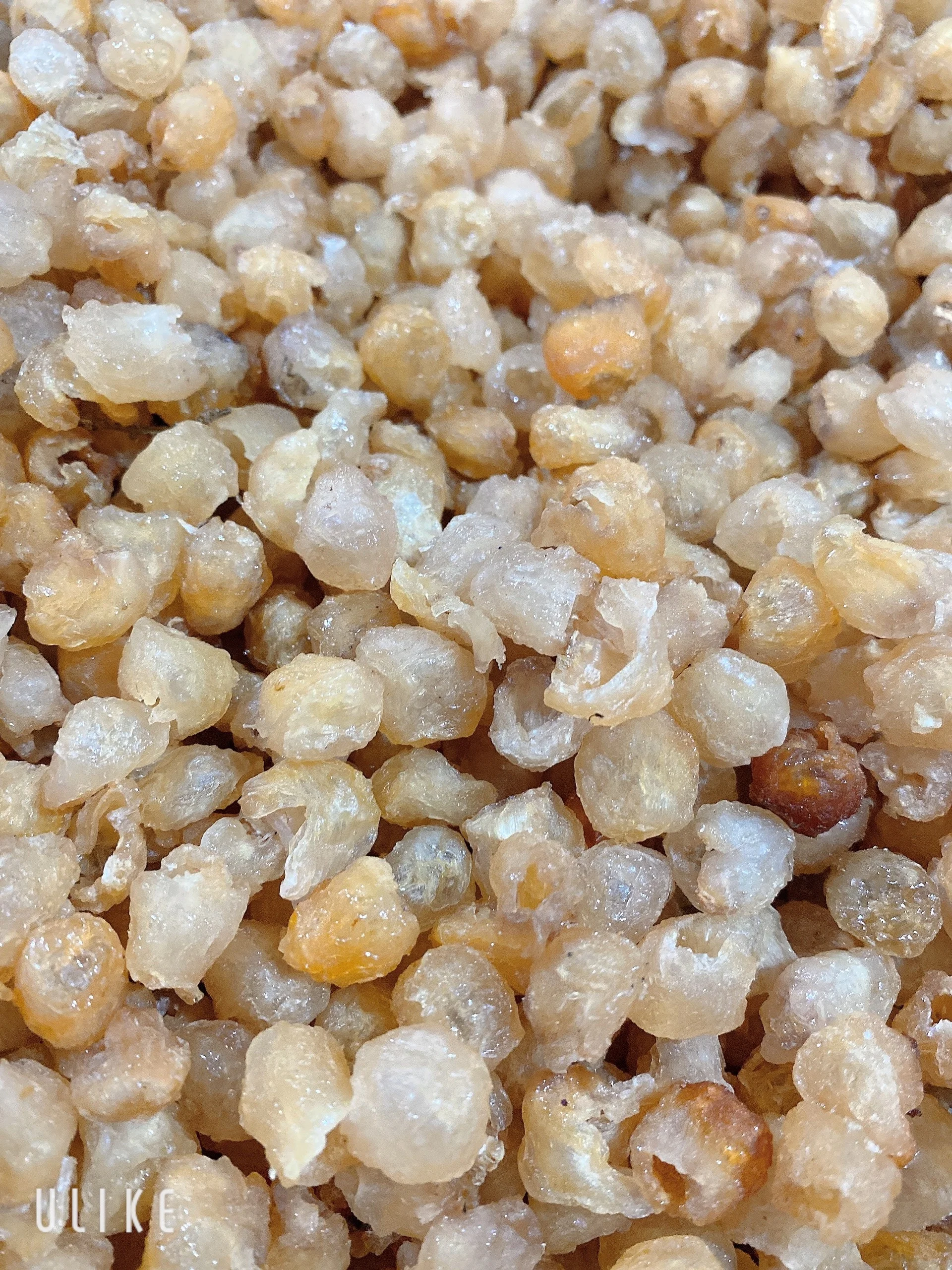 Vietnam Factory Dried Longan Pulp - Sweet Tropical Fruit