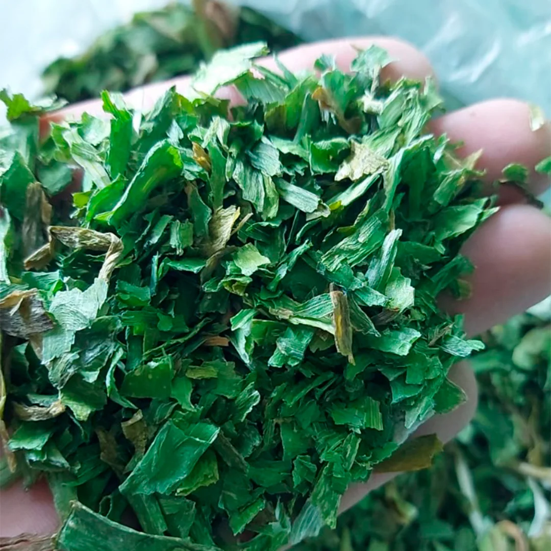 Dehydrated Chives - 10kg Scallion - Buy Scallion Dehydrated Chives ...