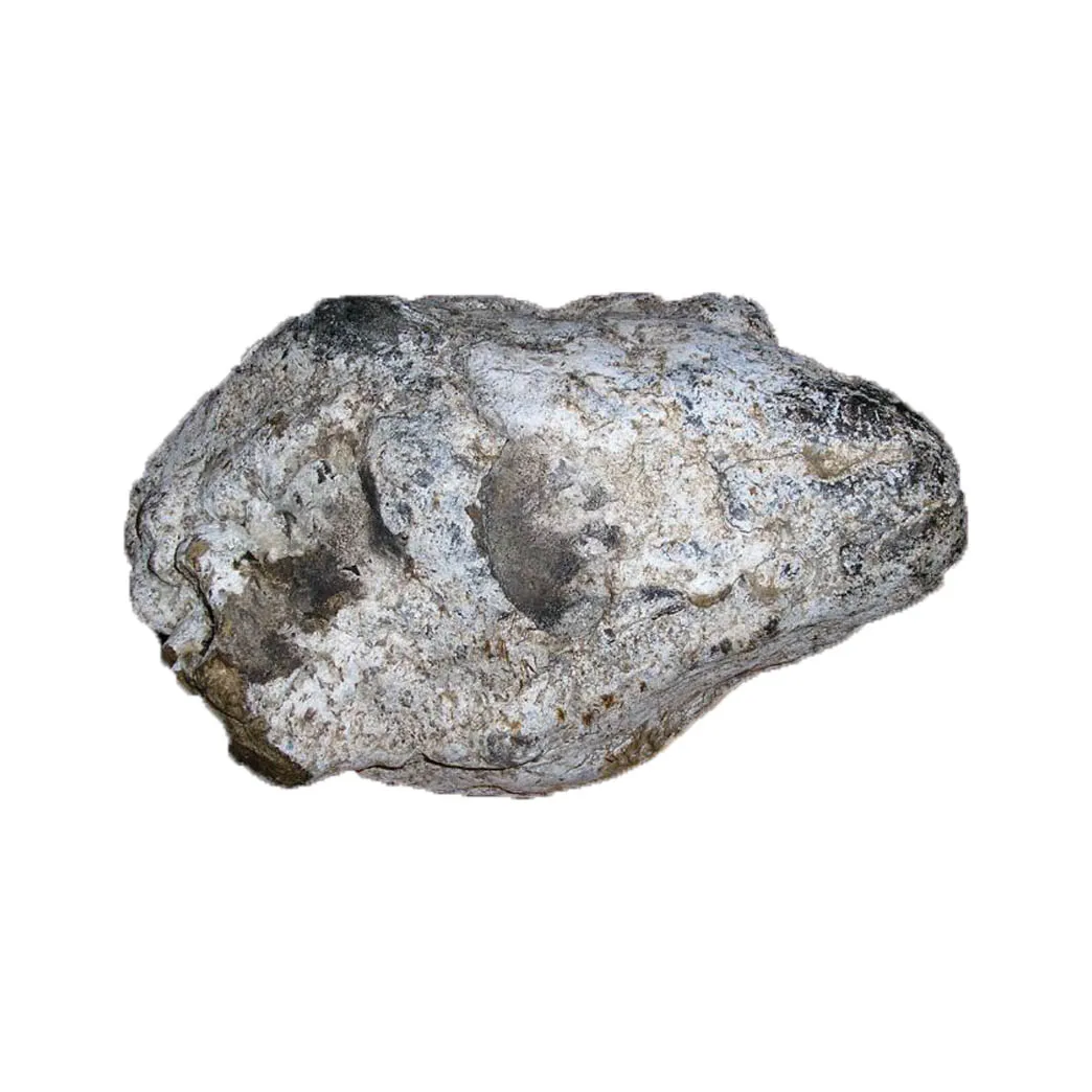 Synthetic Ambergris Whale Vomit Ambergris Fresh Quality Sperm 100% Pure ...