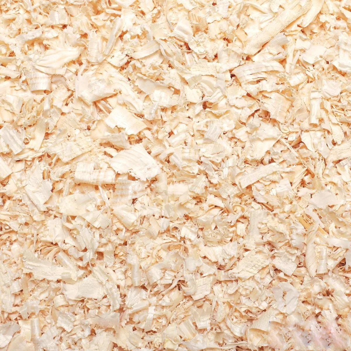 Cheap Price - Wood Shaving for Horse/ Animal Bedding in Vietnam ...