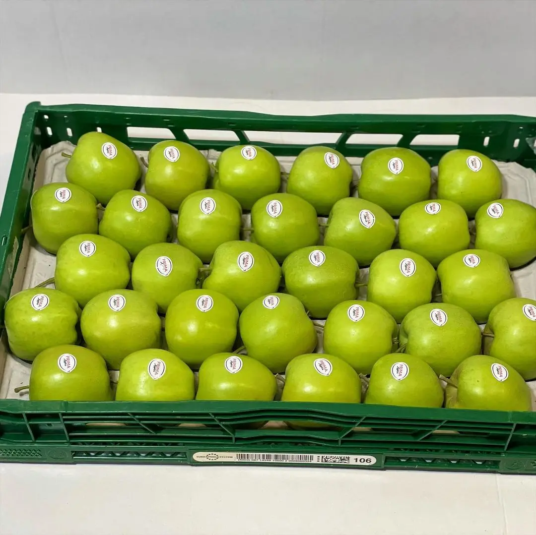 Wholesale Style Storage Packaging Fruits Apples Apples In Fruits Fresh ...