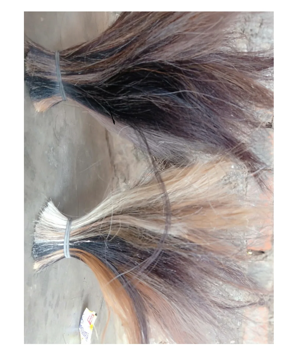 Best Cattle And Cow And Buffalo Tail Hair Brushes Manufacturer For ...