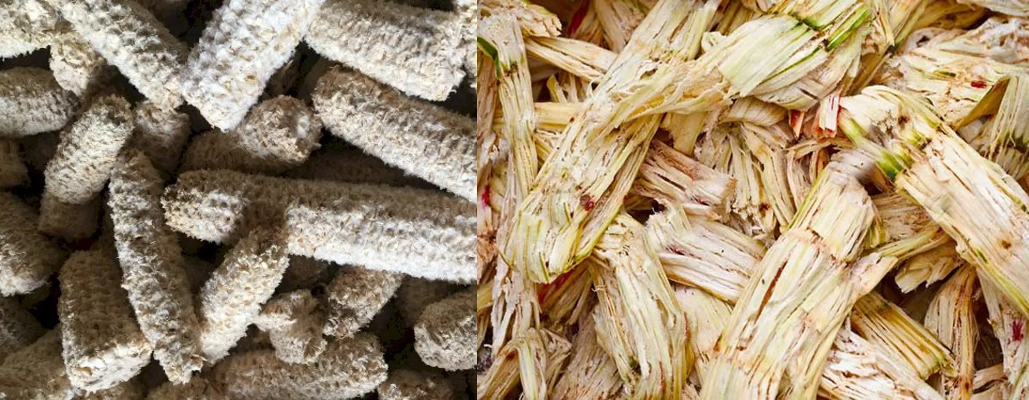 Cheap Dried Corn Cob Natural Fuel from Agricultural Waste
