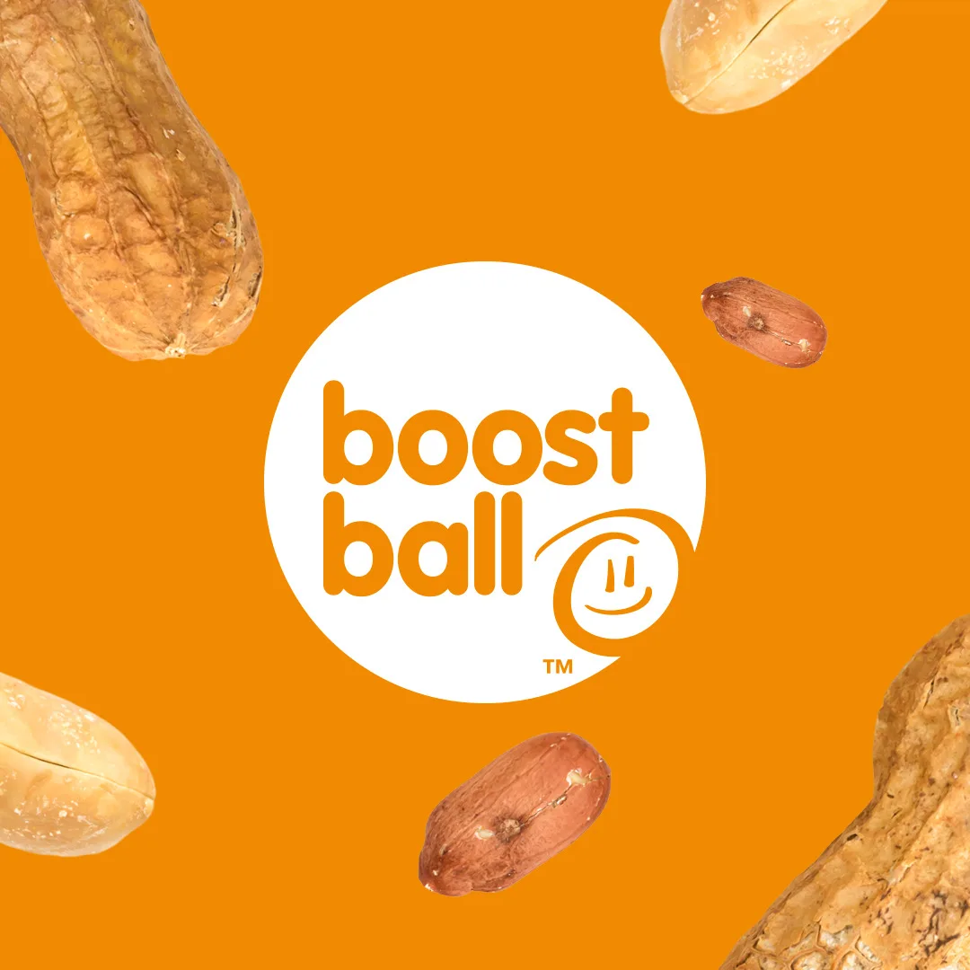 Boostball - Keto Snacks - Protein Bites Peanut Butter Cookie Dough ...